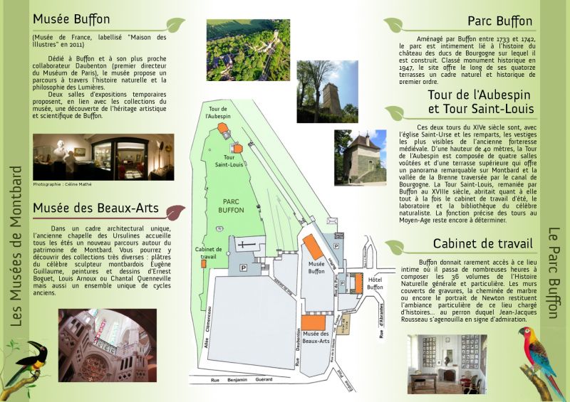 Musée Buffon